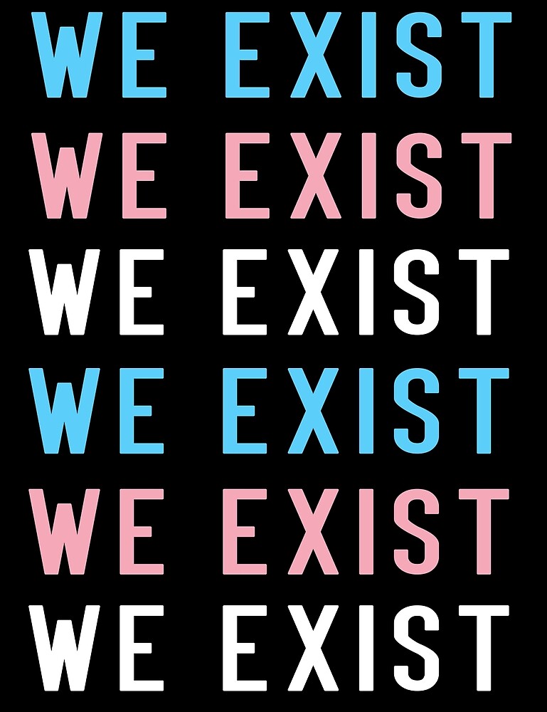 "We Exist - Trans Pride" by transprince | Redbubble