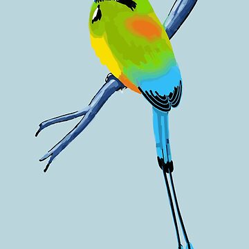 Pegatina con la obra «Beautiful Torogoz of El Salvador » de ...