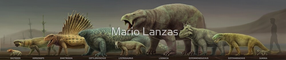 "Primitive Synapsida- stem- mammals (Permian- Triassic)" by Mario ...