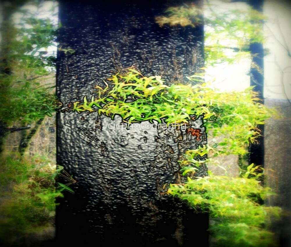 "The Charcoal Tree" by cjcphotography | Redbubble