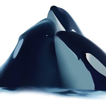 "Orca Cuddle Puddle" Sticker for Sale by OrcinusArt | Redbubble