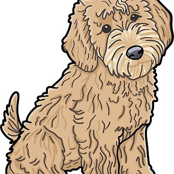 "Golden Doodle Dog / Goldendoodle" Poster for Sale by Isabelle-Anne ...