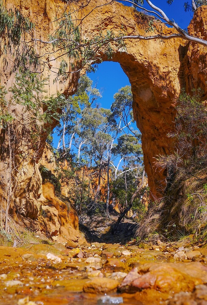 "Golden Gully - Tambaroora Creek, Hill End" by Lexa Harpell | Redbubble