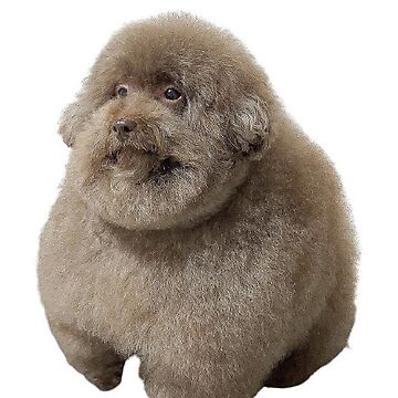 "Puffy Dog" Sticker for Sale by Emizzy | Redbubble