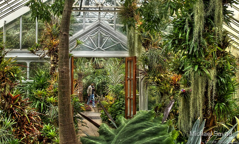 "A Walk through Paradise" by Michael Savad | Redbubble