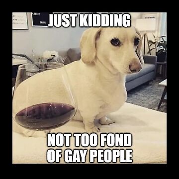 "Not Too Fond of Gay People Homophobic Dog Meme Gif Funny " Essential T ...