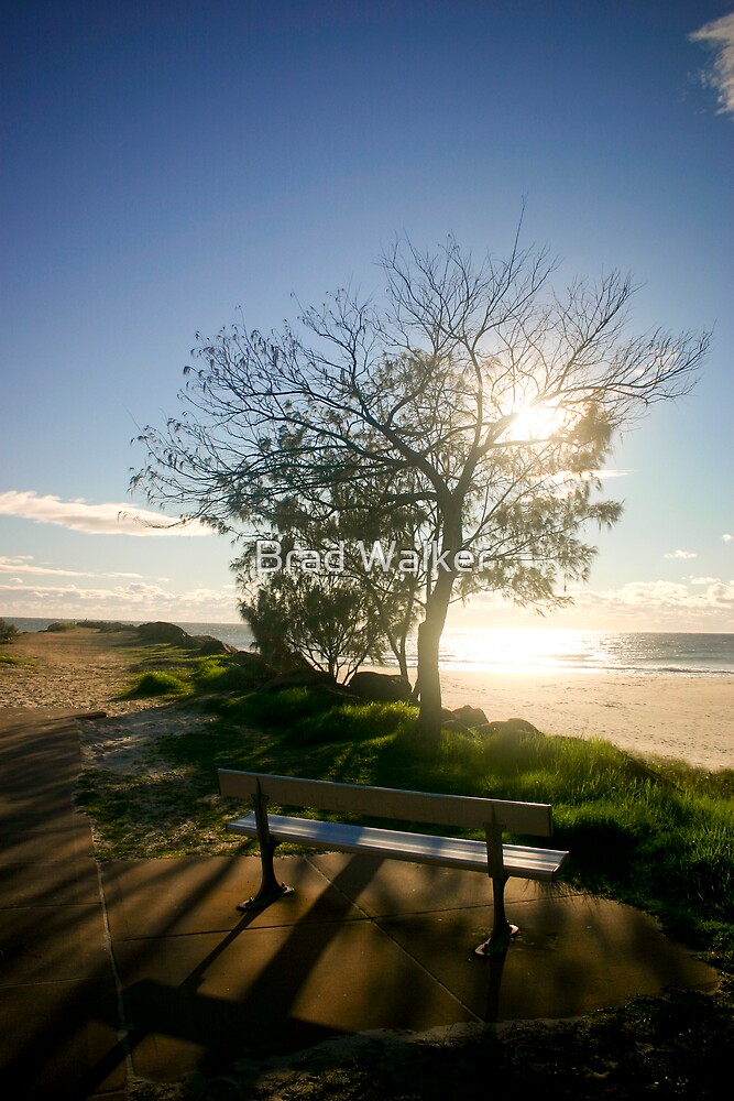 "Sunrise Over Park Bench - Tallebudgera Gold Coast" by Brad Walker ...