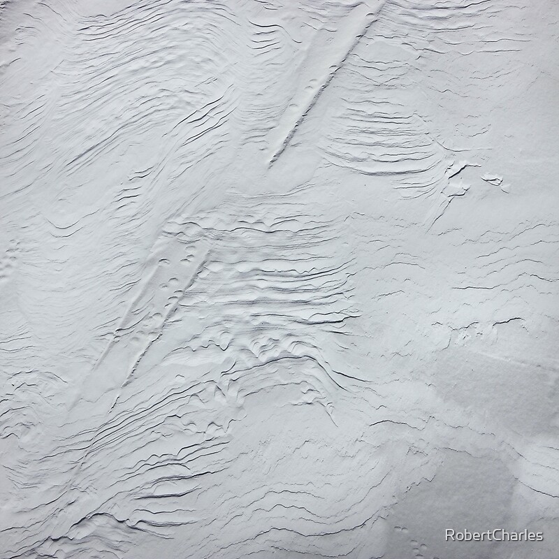 "Little White Lines" by RobertCharles | Redbubble