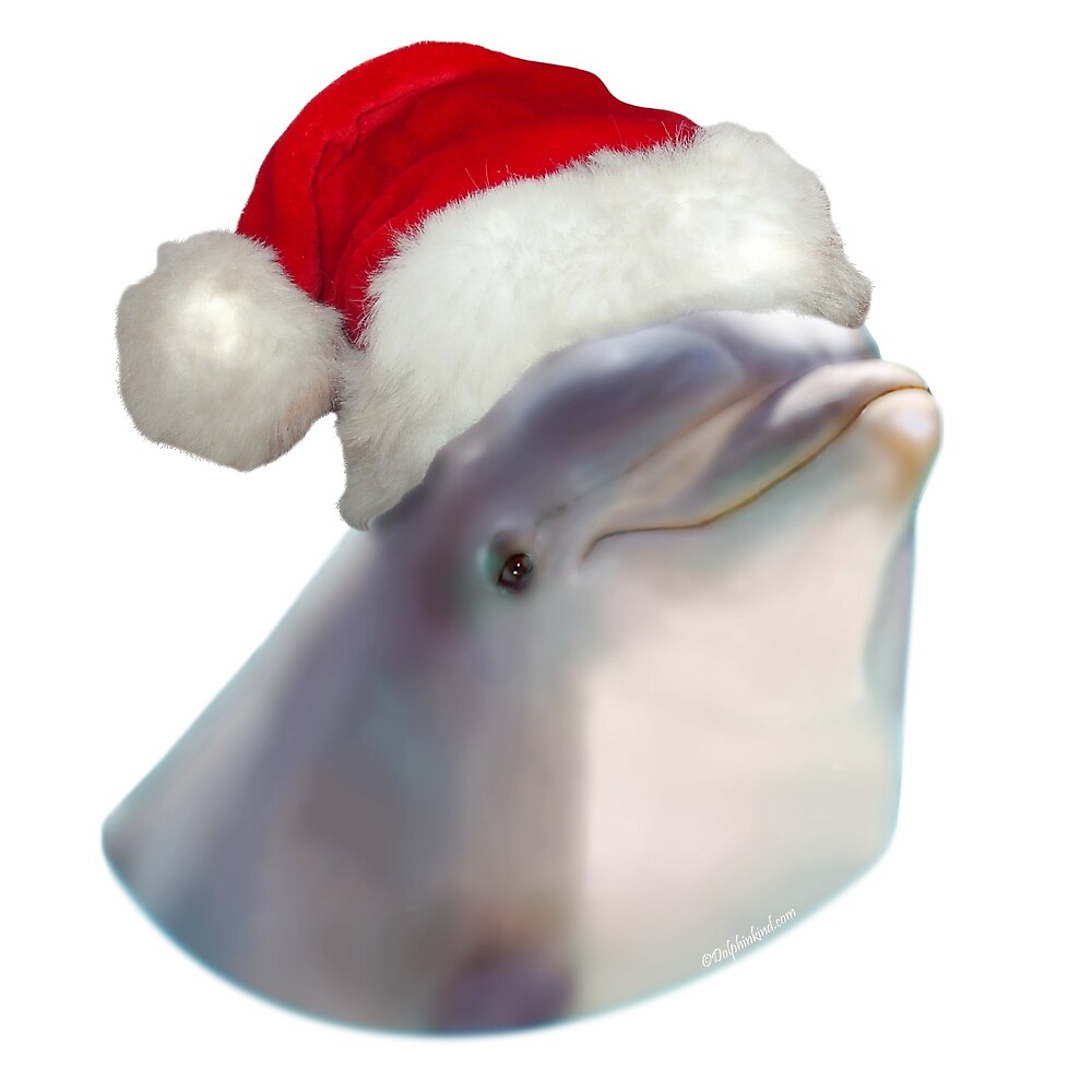 "Christmas Santa Dolphin" by DolphinPod | Redbubble