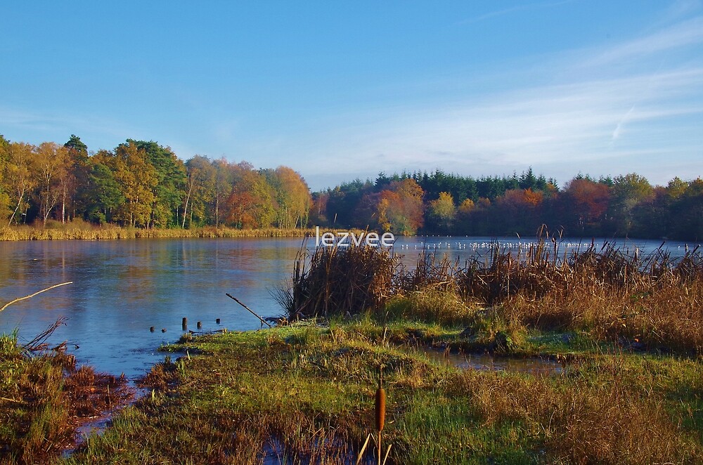 "Stover Lake, Autumn" by lezvee | Redbubble