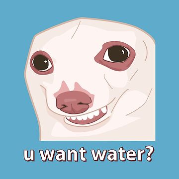 "U want water? Chihuahua Dog meme" Poster for Sale by Rzera- | Redbubble
