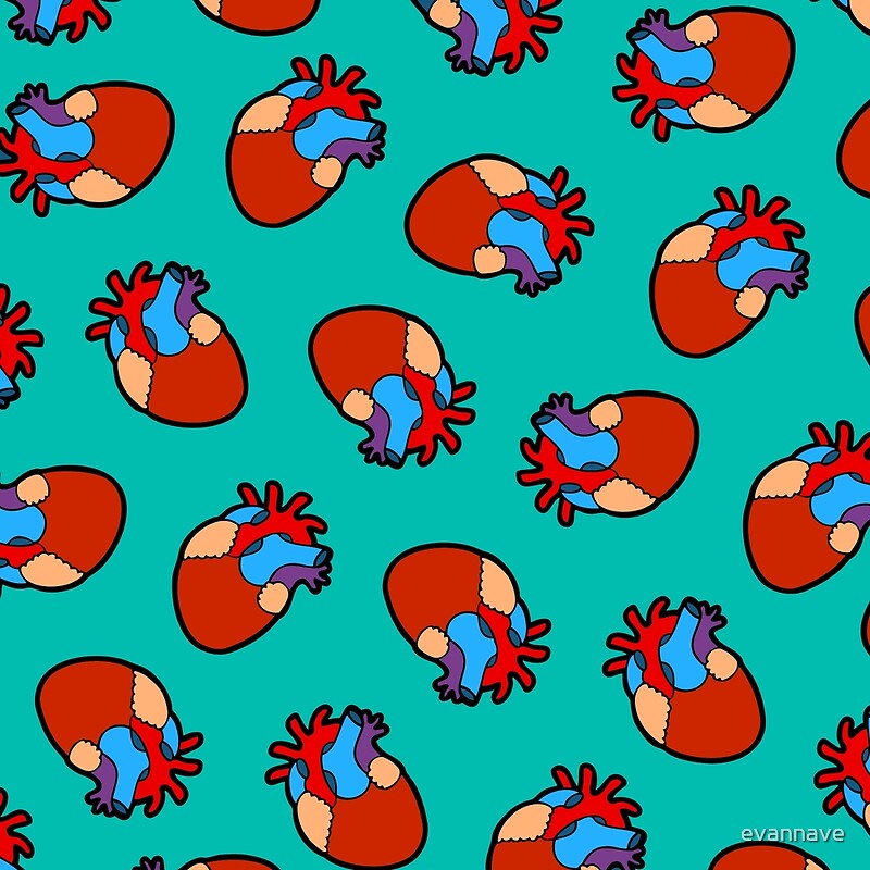 "Anatomical Heart Pattern" by evannave | Redbubble