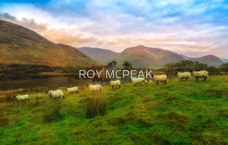 "Autumn at Kilchurn" by ROY MCPEAK | Redbubble