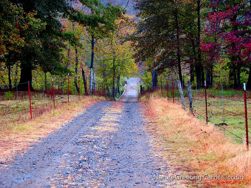 "Walking Down Memory Lane" by NatureGreeting Cards ©ccwri | Redbubble