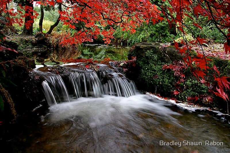 ""Autumn's Water Fall in Red"" by Bradley Shawn Rabon | Redbubble