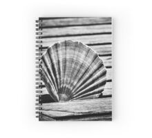 "Scallop Shell and Timber" by Dave Hare | Redbubble
