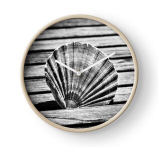 "Scallop Shell and Timber" by Dave Hare | Redbubble
