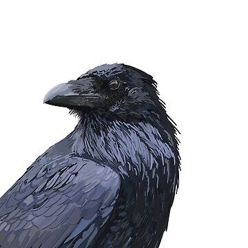 "Raven" Sticker for Sale by Hailey Sperling | Redbubble