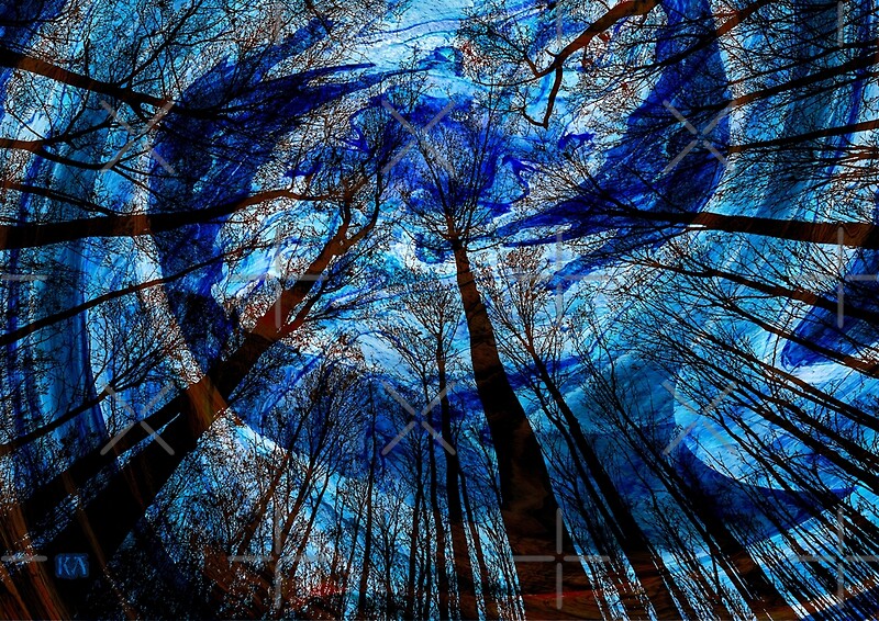 "Vertigo: Forest and Sky" by Kathryn Andersen | Redbubble