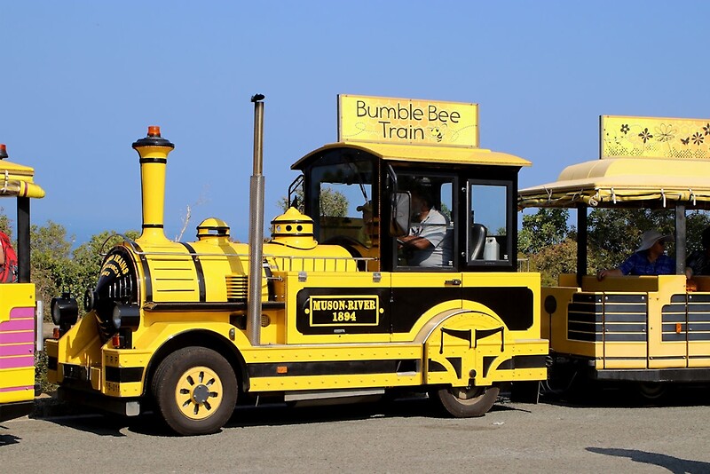 "Bumble Bee Train, Noumea, New Caledonia" by FranWest | Redbubble