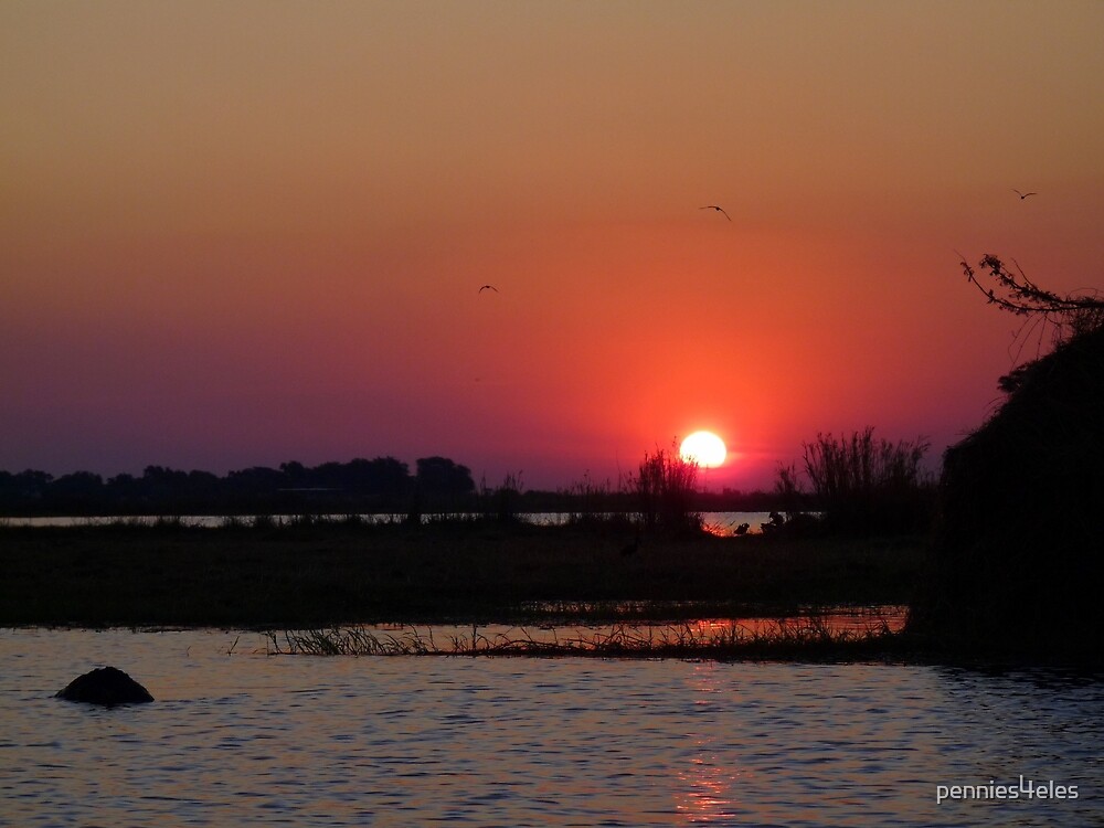 "Purple Haze - Sunset on the Chobe River" by pennies4eles | Redbubble