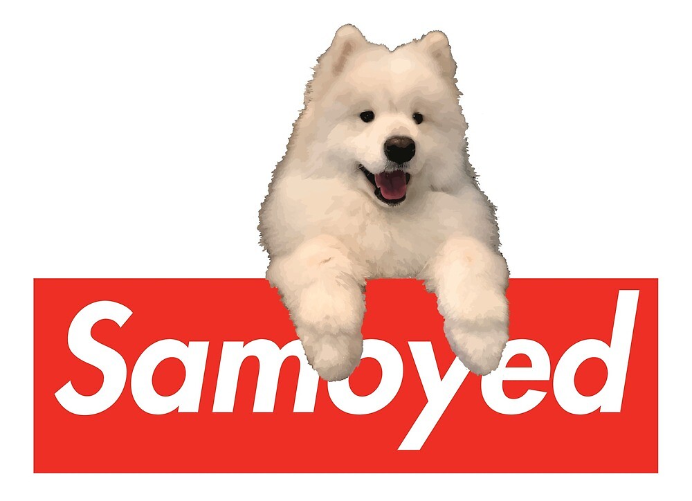 "Samoyed x Hypebeast Brand collab" by ryderthesamoyed | Redbubble