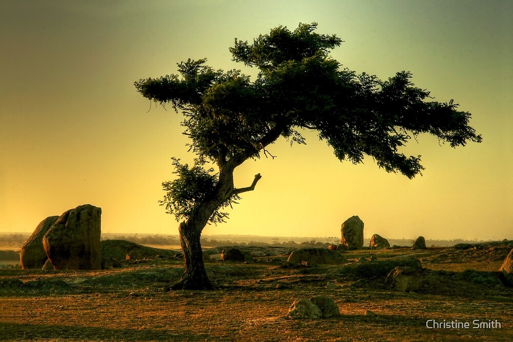 "Late Afternoon Light at Dog Rocks, Victoria" by Christine Smith ...