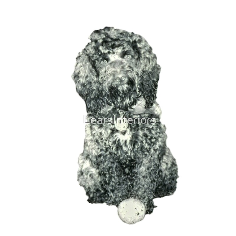 "Cockapoo with a ball (white)" by LearsInteriors | Redbubble