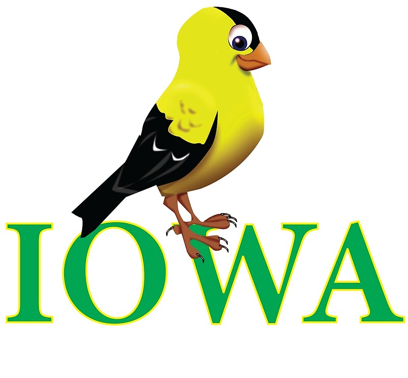 "Iowa" by wickedcartoons | Redbubble
