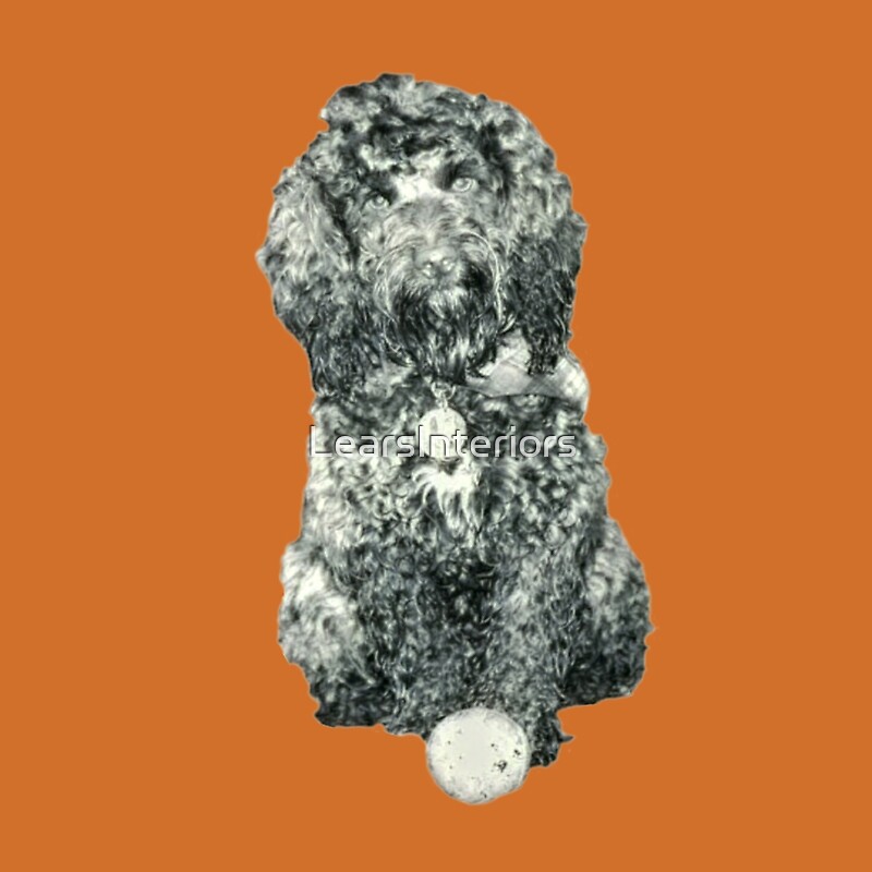 "Cockapoo with a ball (Orange)" by LearsInteriors | Redbubble