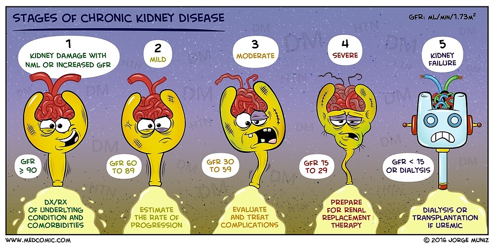 "Stages of Chronic Kidney Disease" by Medcomic | Redbubble
