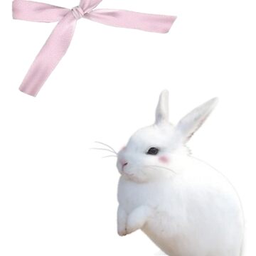 "Coquette bunny and pink ribbon bow " Sticker for Sale by Pixiedrop ...
