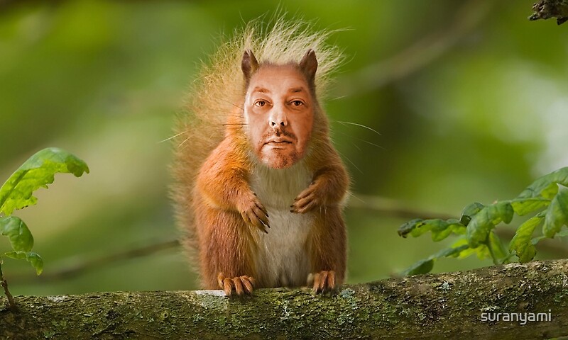 "Dave-Squirrel" by suranyami | Redbubble