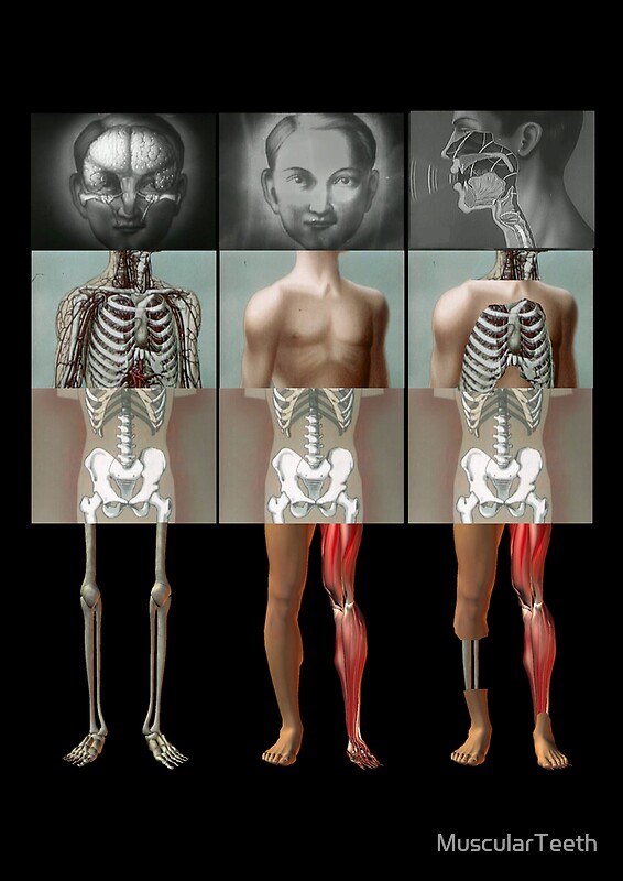 "The meeting of the Mangled" by MuscularTeeth | Redbubble