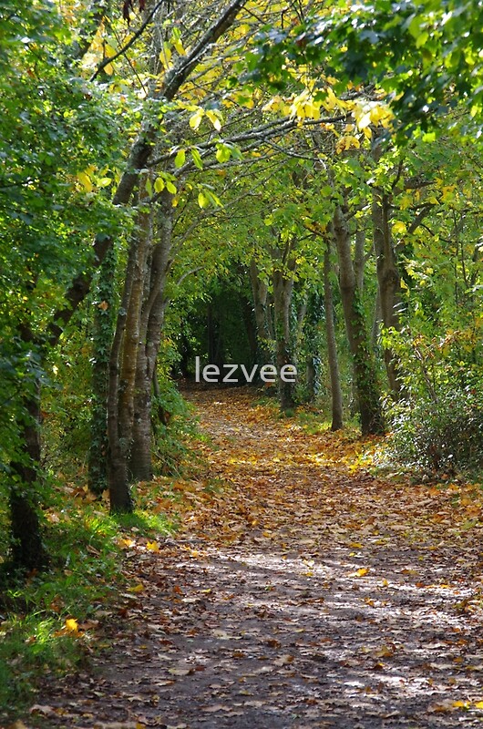 "Riverside walk, Totnes" by lezvee | Redbubble