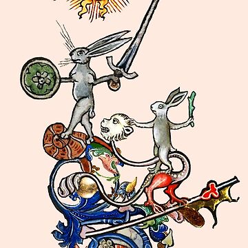 "WEIRD MEDIEVAL BESTIARY Killer Rabbits Riding Monster With Sword and ...