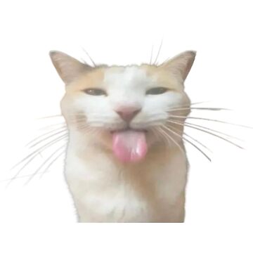 "BLEHHHHH P CAT" Sticker for Sale by ALAEEDDINEBHM | Redbubble