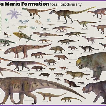 "Santa Maria Formation Poster" Poster for Sale by julia-doliveira ...