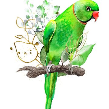 "Parrot Bird Indian Ringneck Parakeet Parrot Bird Art Design" Mounted ...