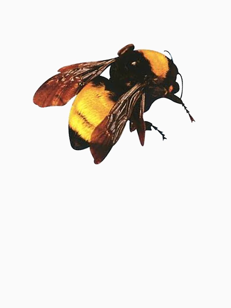 "Flower Boy Bumblebee" T-shirt by altizzy | Redbubble