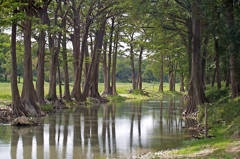 "Guadalupe River Crossing in Waring Texas " by sharont | Redbubble