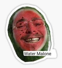 Post Malone Meme: Stickers | Redbubble