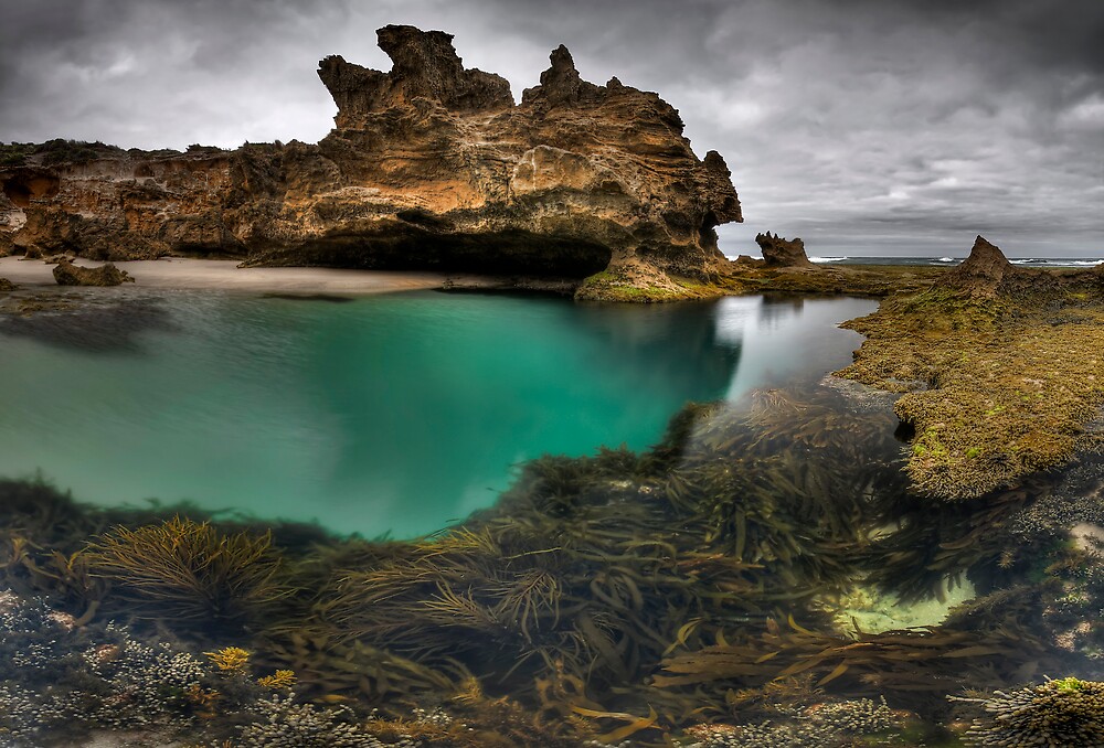 "Paradisian Rock Pool" by Robert Mullner | Redbubble