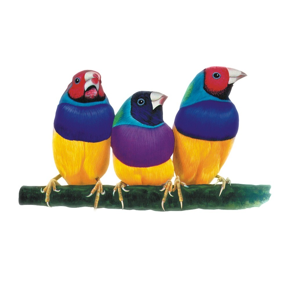 "ViewSonic logo birds" by PixelFaced | Redbubble