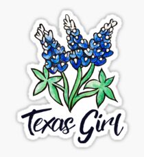 Texas Stickers | Redbubble