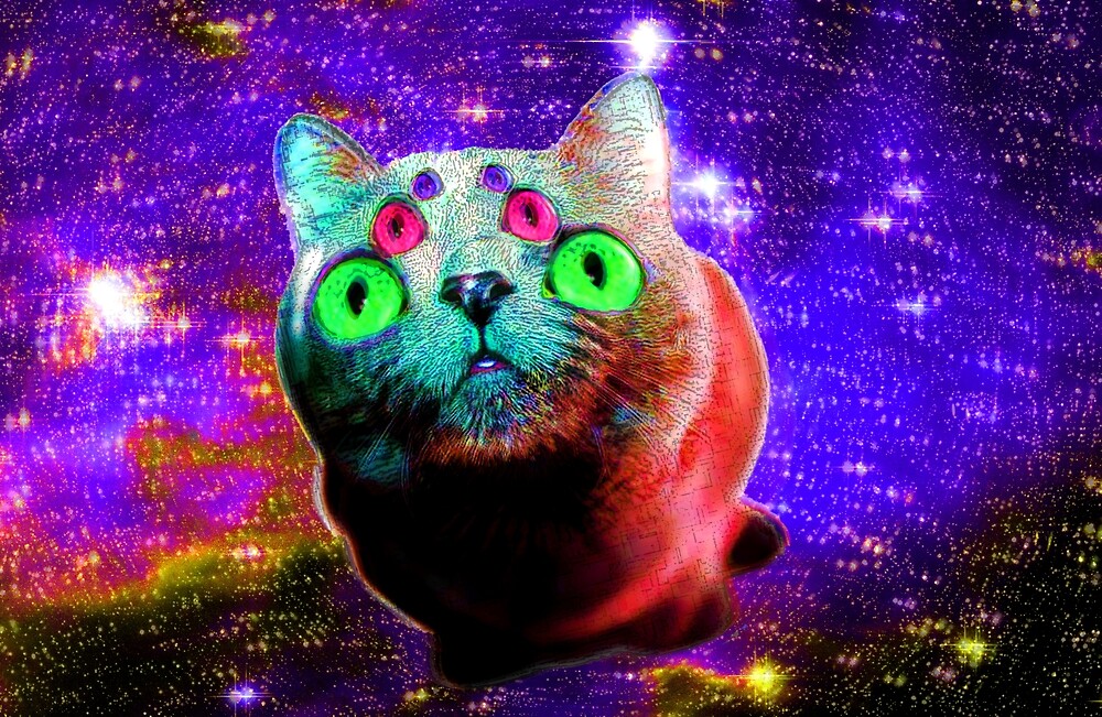 "Acid Cat" by lord-sativa | Redbubble