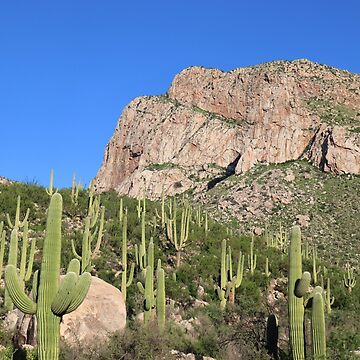 "Saguaro Cacti And Rugged Mountains" Sticker for Sale by simonjayphotos | Redbubble