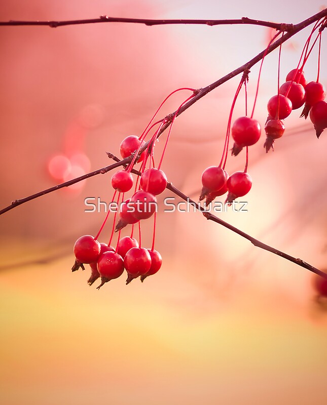 "Magic Berries..." by Sherstin Schwartz | Redbubble