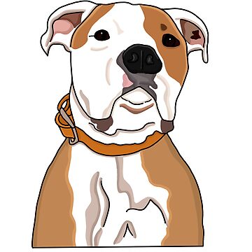 "Kojo " Sticker for Sale by SabsArt05 | Redbubble