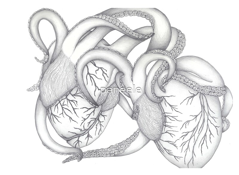 "Octopus hearts" by paneele | Redbubble